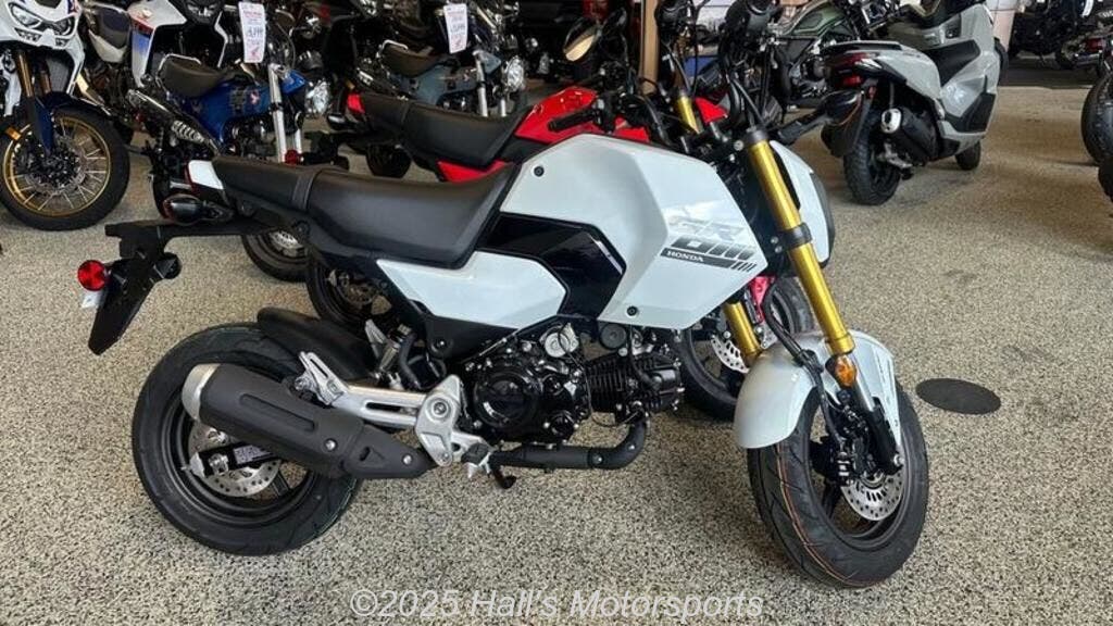 Standard Motorcycle For Sale - 2026 Honda Grom ABS | Rev & Roam